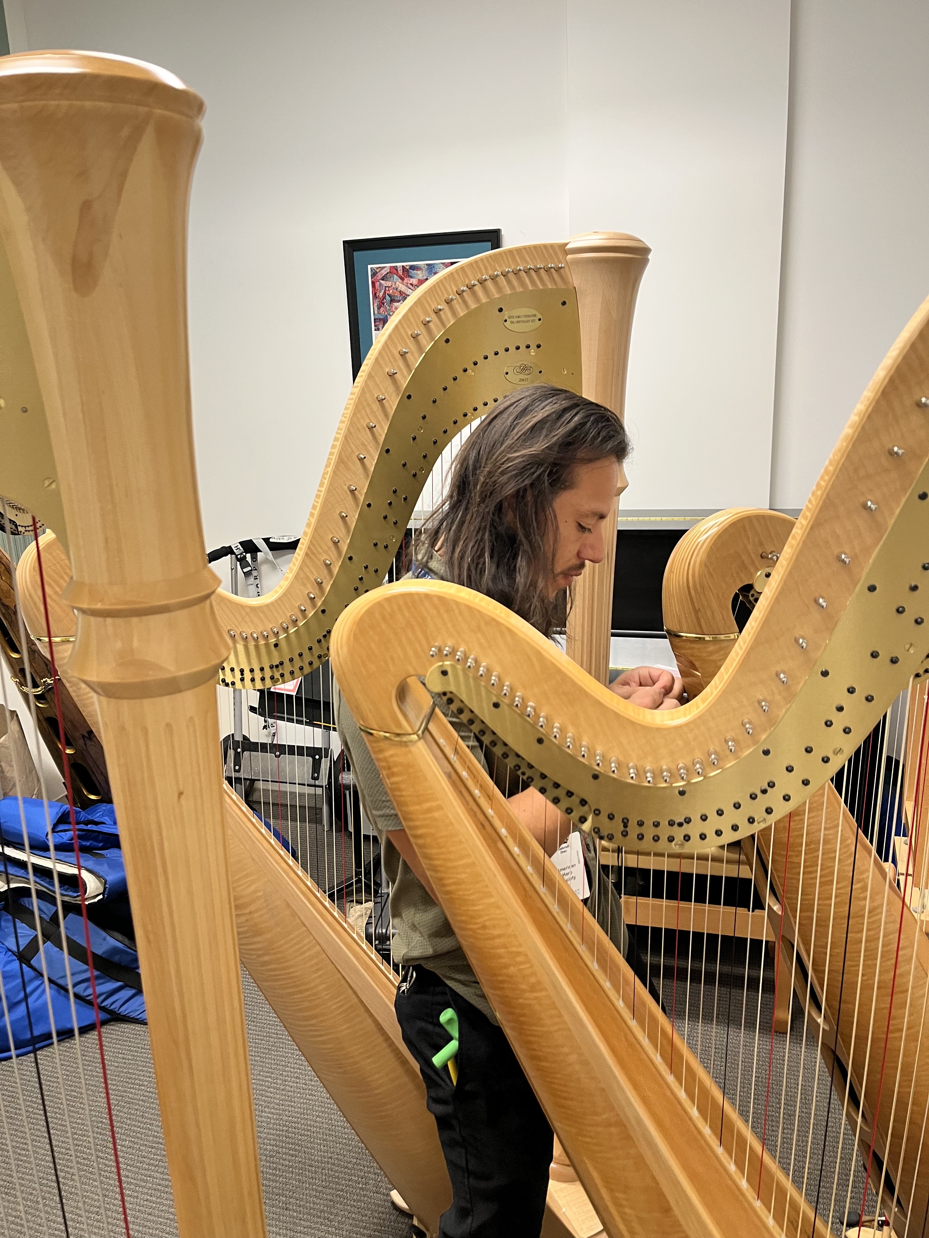 About – Gabriel's Harp Repair & Care