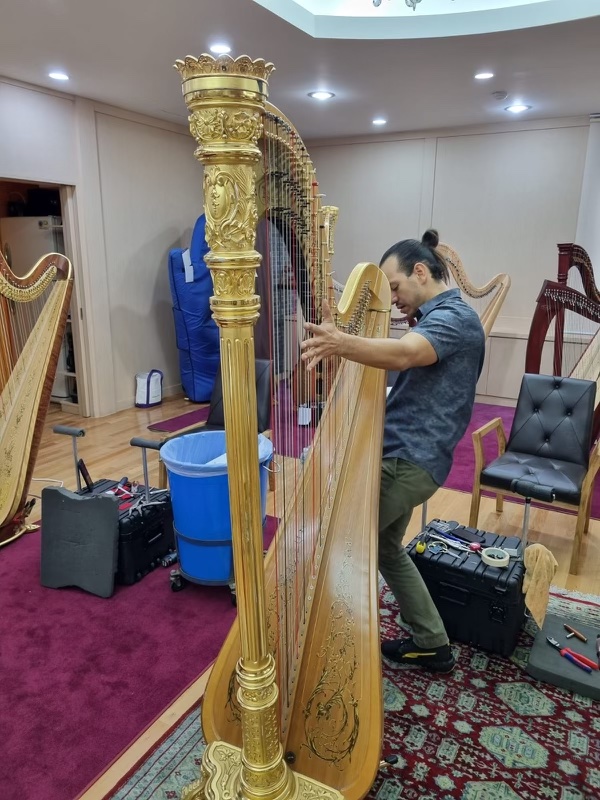 About – Gabriel's Harp Repair & Care