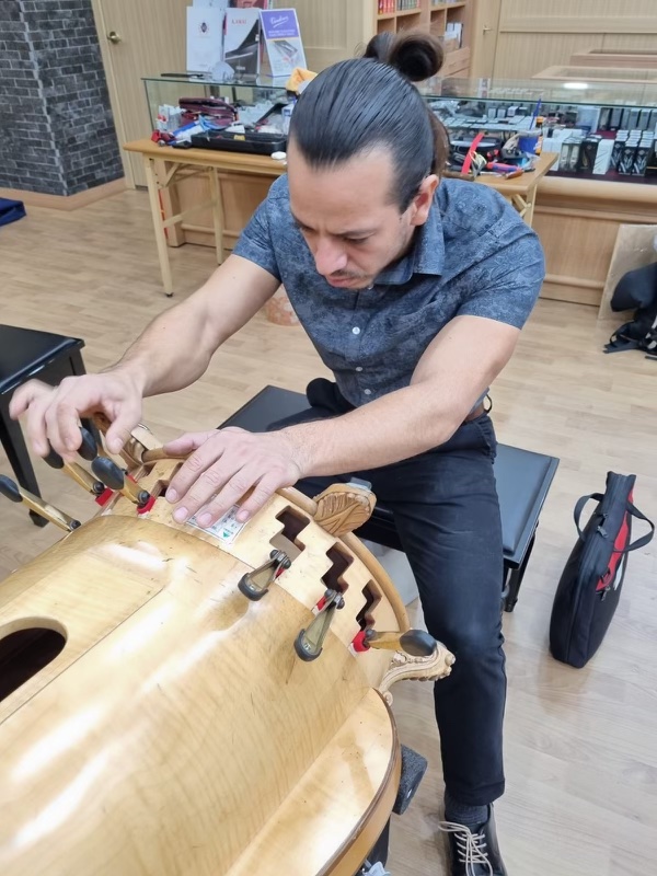 About – Gabriel's Harp Repair & Care